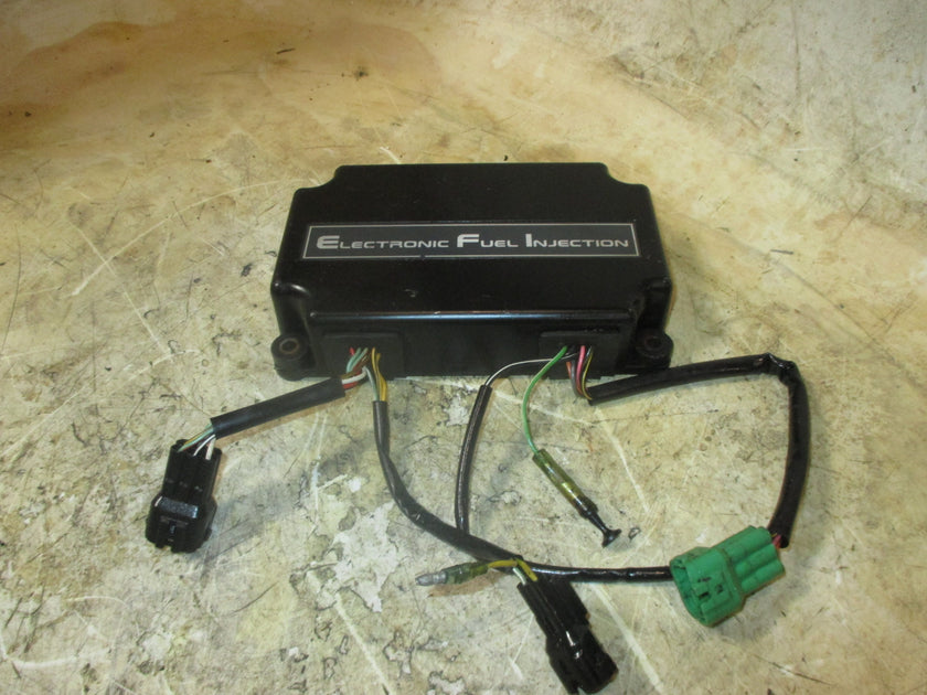 Suzuki DT225 225hp 2 stroke outboard electronic fuel injection unit ...