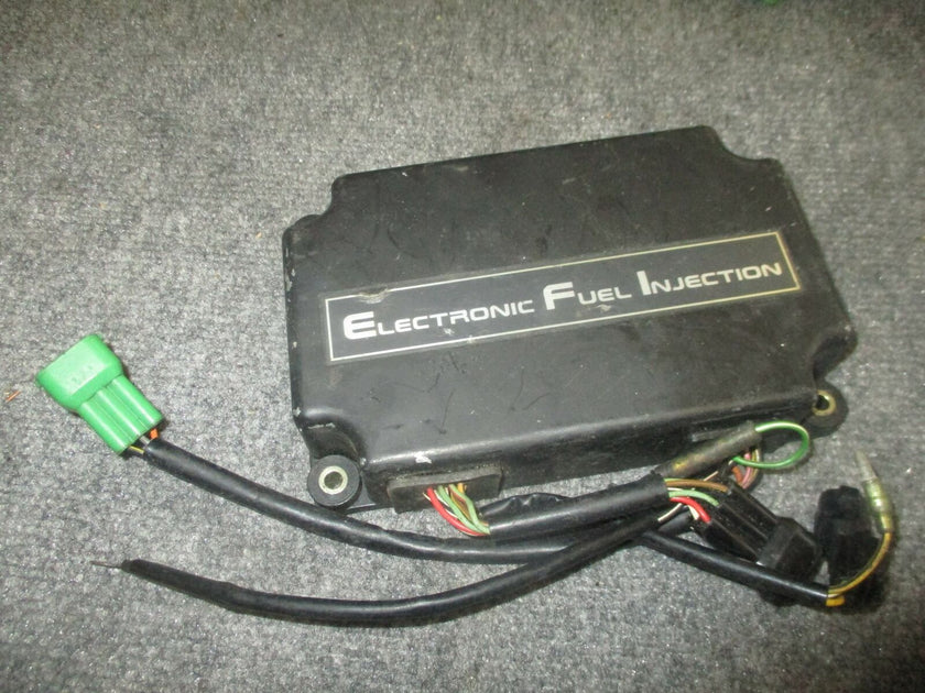 Suzuki DT225 2-Stroke Outboard Electronic Fuel Injection Unit EFI (339 ...